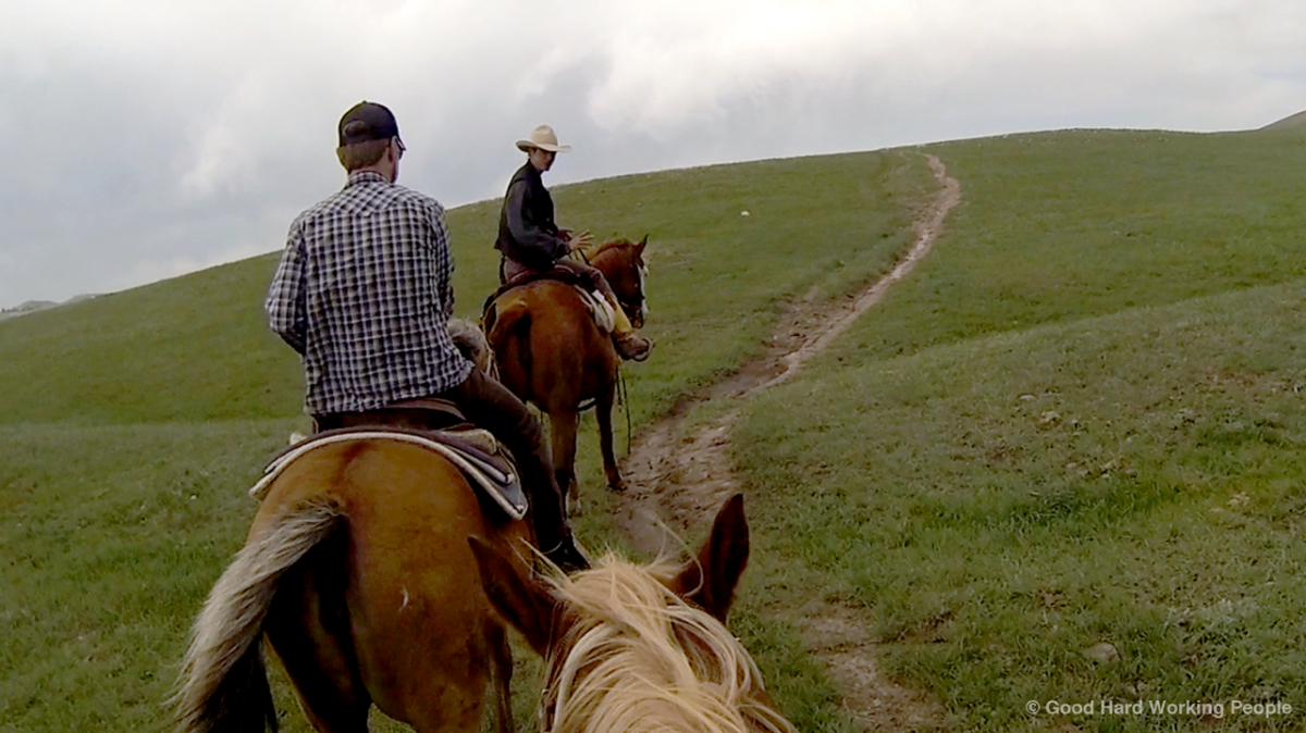 Horseback Riding at Terry Bison Ranch - In A Colorado Minute (Week 212 ...
