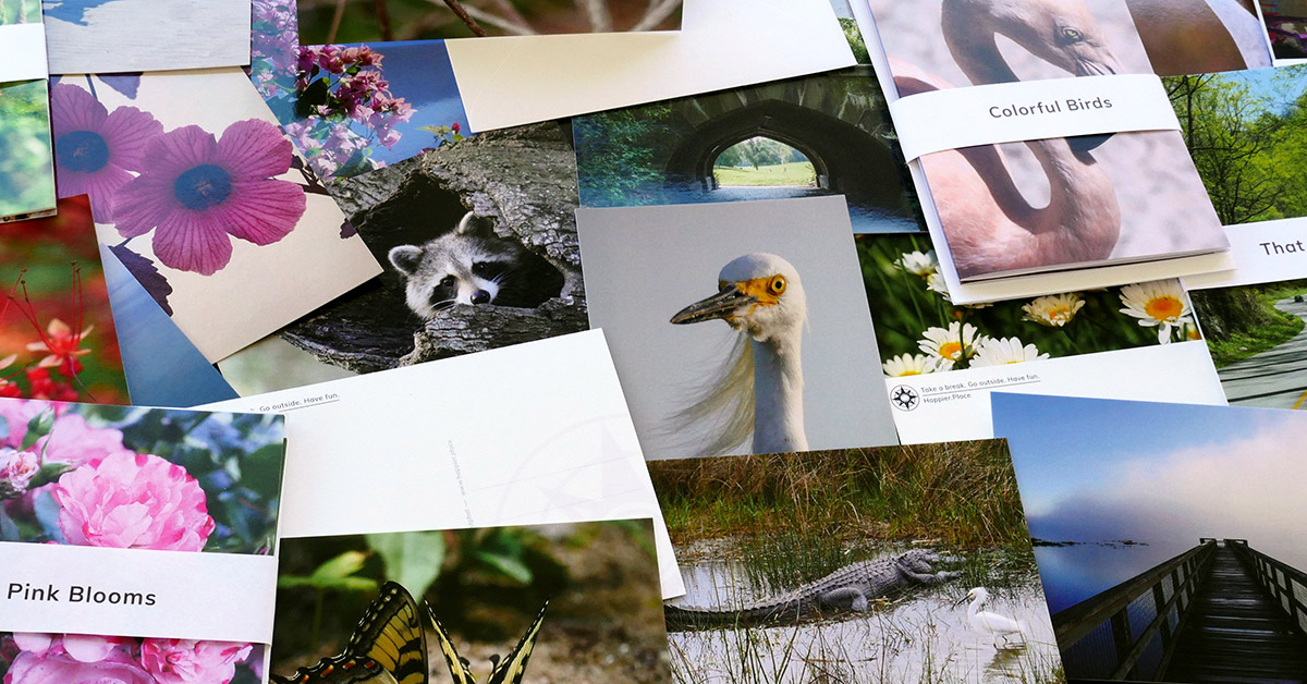 Shiny New Nature Photo Postcards + Satiny Folded Greeting Cards