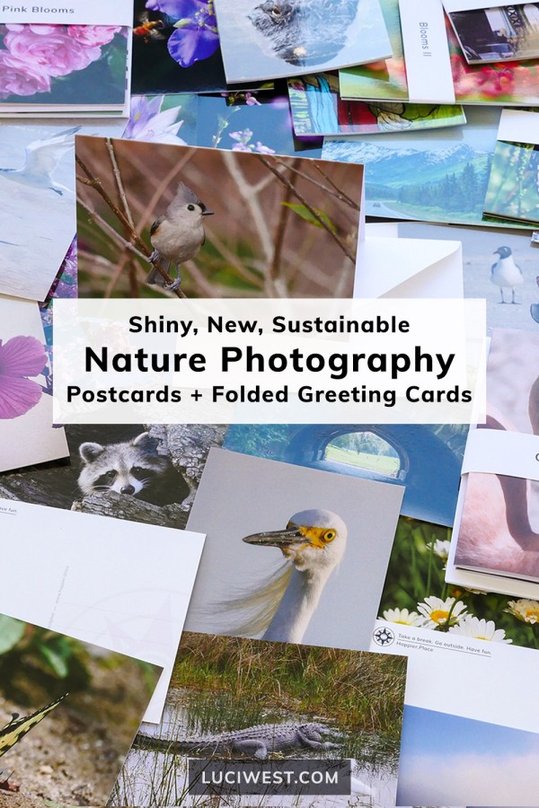 Shiny New Nature Photo Postcards + Satiny Folded Greeting Cards