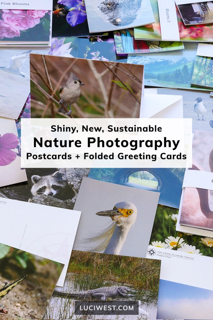 Shiny New Nature Photo Postcards + Satiny Folded Greeting Cards