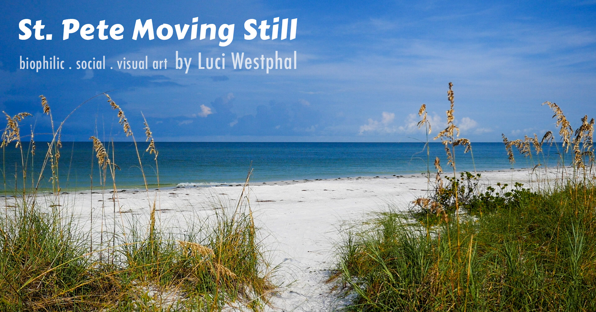 Moving Still - Luci Westphal